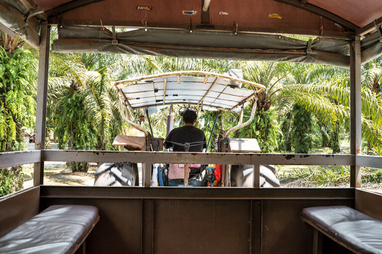 【Review】Trong Leisure Farm and Resort Perak Malaysia - The Local Travel ...