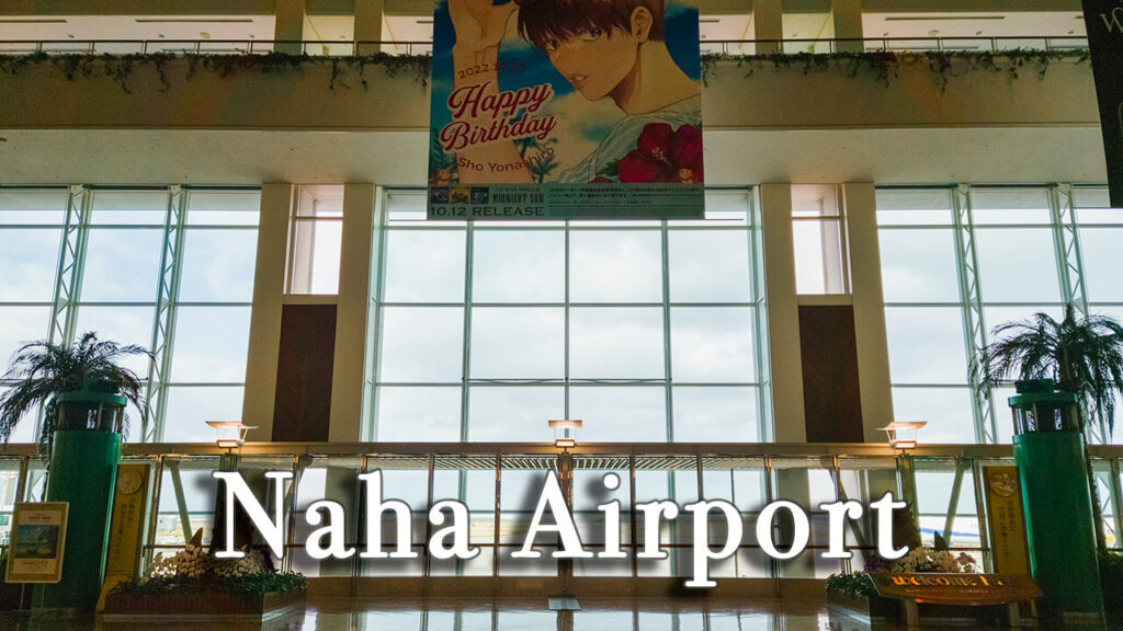 【Review】Naha Airport at Okinawa, Japan - The Local Travel Guide